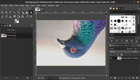 How To Rotate Transform An Image In GIMP Complete Guide Edits 101