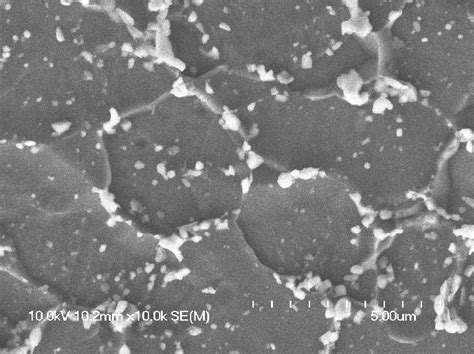Sem Image Of Very Small Equiaxed Grain Structure Adjacent To Fracture Download Scientific