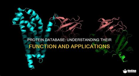Protein Database Understanding Their Function And Applications Medshun