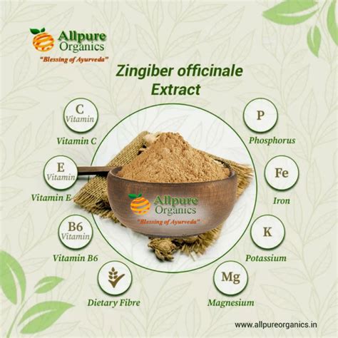 Zingiber Officinale Manufacturer And Exporter Of Herbal Extract