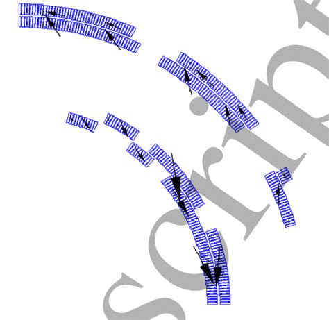 cross section of the nested dipole corrector coil and electromagnetic