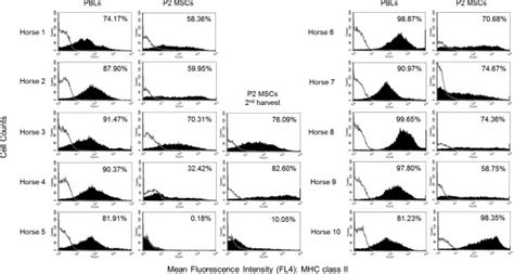 flow cytometric histogram analyses of mhc class ii expression in