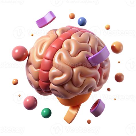 Elegant Rustic Rotating Brain Animation Sequence Isolated Element 60677353 Png