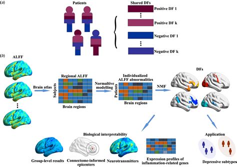Shared Differential Factors Underlying Individual Spontaneous Neural