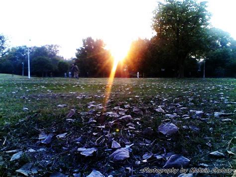 World Artists Showcase