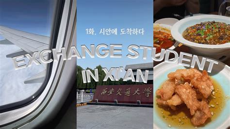톡파원 중국 교환학생 브이로그 시안에 도착하다 Youtube
