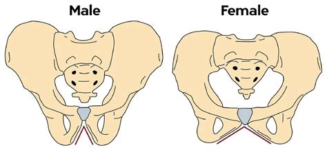 Vol 9 1 SCIENTIFIC CULTURE