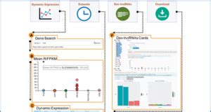 Rice Expression Database RED An Integrated RNA Seq Derived Gene Expression Database For Rice