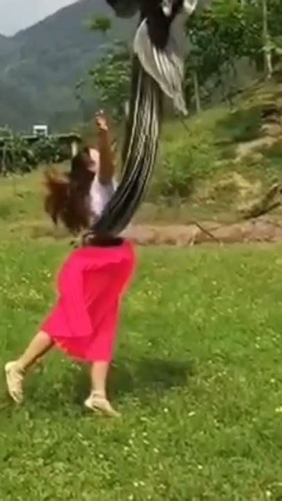 Sortvideo Highlights Pickok Youtube