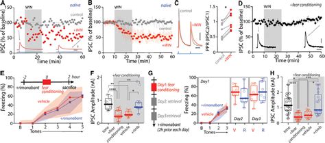 Locus Coeruleus Anchors A Trisynaptic Circuit Controlling Fear Induced Suppression Of Feeding