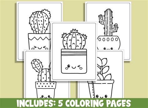 Learn How To Draw A Cactus Directed Drawing Step By Step Tutorial 5