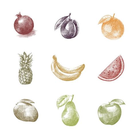 Digital Fruit Sketch Images Free Download On Freepik