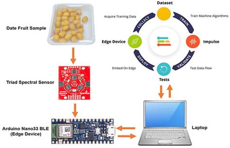 Sustainability Free Full Text Machine Learning Based Spectroscopic Technique For Non