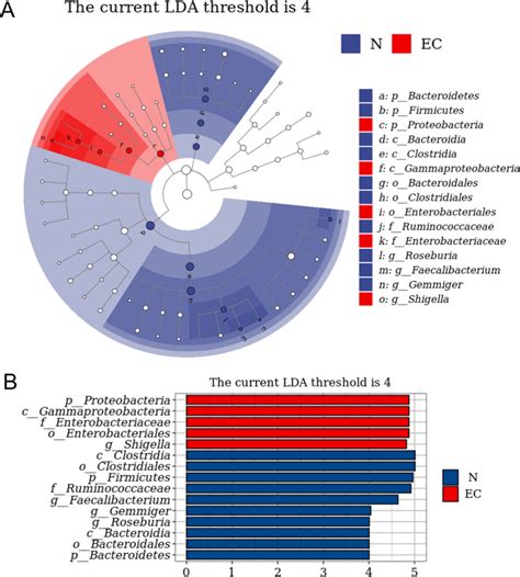 Lefse Analysis Of The Gut Microbiota Between The Two Groups A The Download Scientific