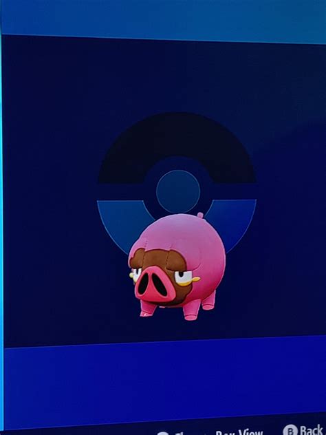 9 Three Phases For Shiny Scatterbug Now Vivillion Rshinypokemon