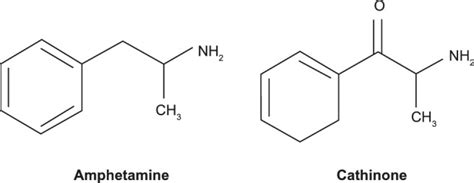 Synthetic Cathinone Abuse Abstract Europe Pmc