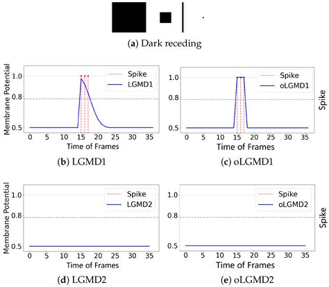 A Computationally Efficient Neuronal Model For Collision Detection With Contrast Polarity