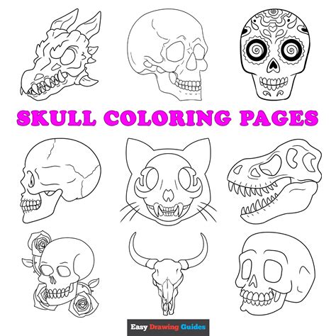 Anatomy Skull Coloring Pages To Print 2025