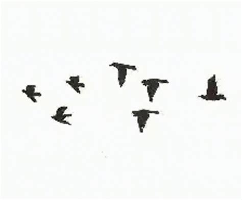 Seven Black Bird Flying 
