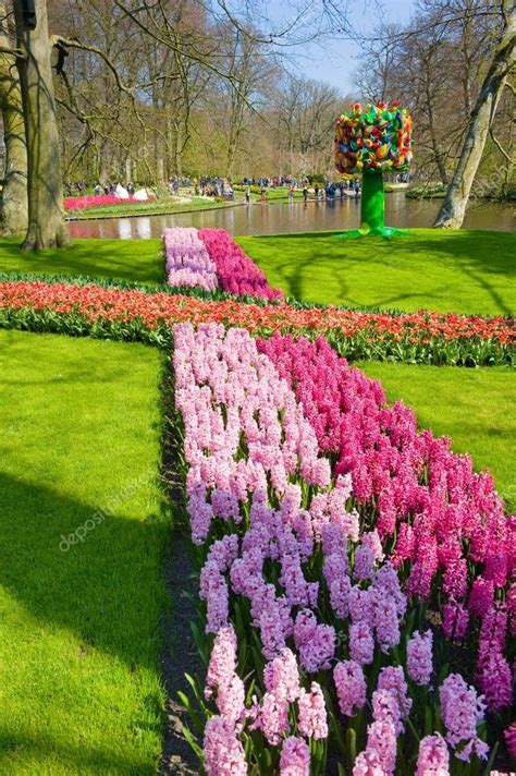 Un Jardin Con Flores Todo El Ano