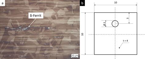 Detecting Hydrogen Concentrations In Steel Surfaces Using Libs Il Photonics