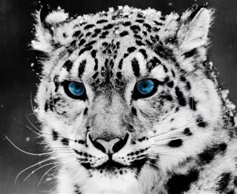 The Difference Between A Vulnerability Assessment And A Penetration Test Daniel Miessler