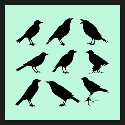 Conjunto De Silhueta De P Ssaro Corvo Vetor Premium