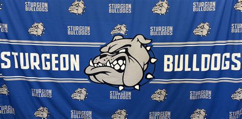 Sturgeon R V School Sturgeon R V School District