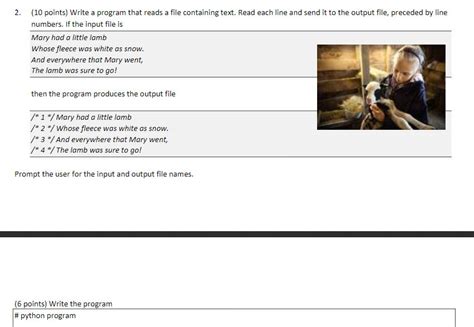 Solved 2 10 Points Write A Program That Reads A File