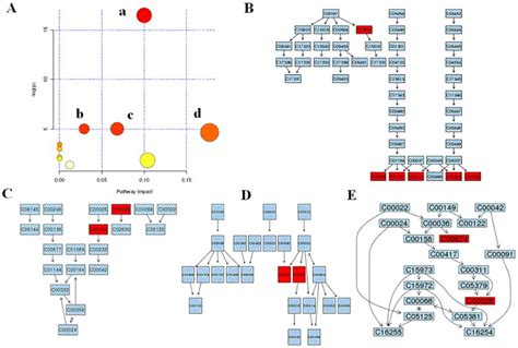 Summary Of Pathway Analysis Identifying Network Pathway By Metpa Download Scientific Diagram