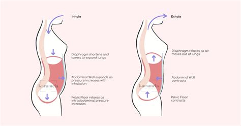 Pelvic Health And Diaphragmatic Breathing Karamela Studio