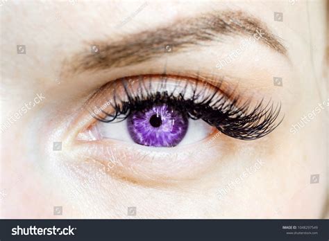 Purple Eye Color
