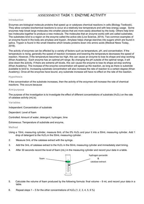 Stage 1 Enzyme Practical Biology Year 11 Sace Thinkswap