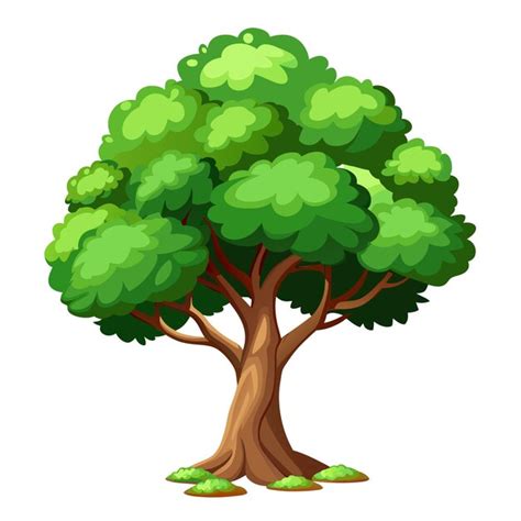 백색 화면에 고립 된 현실적인 트리 터 일러스트레이션 프리미엄 벡터