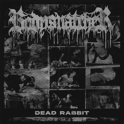Bodysnatcher Dead Rabbit Lyrics Genius Lyrics