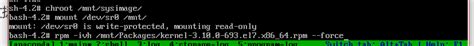 linux紧急救援模式 kvm虚拟机进入急救模式 csdn博客