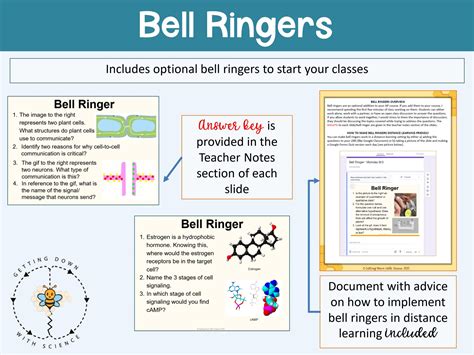 AP Biology Unit 4 Cell Communication And Cell Cycle COMPLETE UNIT