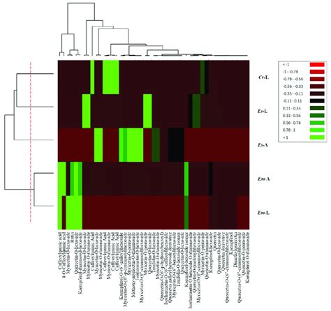 Heat Map Analysis Of Phenolic Compounds Mean N 3 In Leaves And