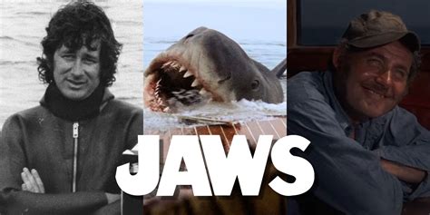 15 Things You Didnt Know About The Making Of Jaws