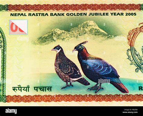 50 Nepalese Rupee Bank Note Nepalese Rupee Is The National Currency Of