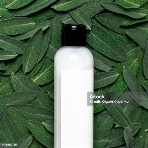 화장품 Spa 브랜딩 모형 천연 미용 유기농 제품 크림이 들어간 화장품 용기 신선한 녹색 현자의 질감에 로션이 상단을 떠납니다