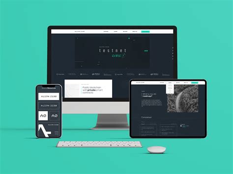 Privacy Blockchain Versus Private Blockchain Aleph Zero