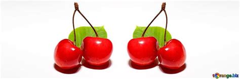 Cherry Template Download Free Picture №33684