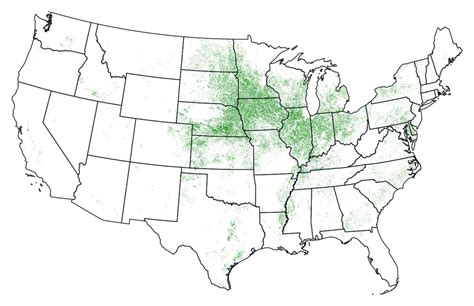 Bunkum Us On Bluesky