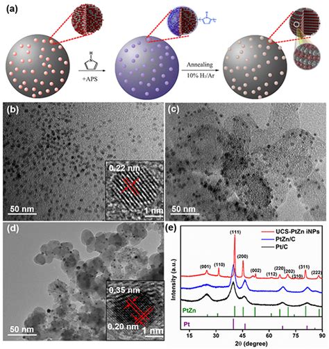 A Schematic Representation Of The Preparation Process Of Ucs−ptzn Inps