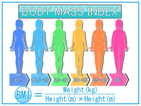 Bmiでデブとぽっちゃりがどこからか考えてみた。【理想体重も解説】｜健康・美容の整体サプリノート