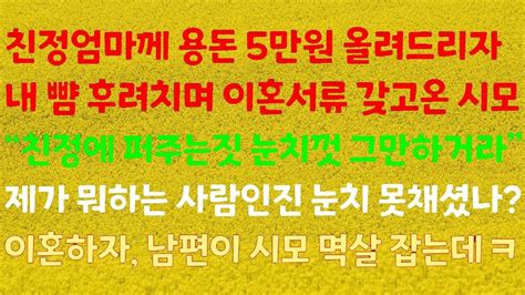 친정엄마에게 5만 원을 더 보내자 시어머니가 내 얼굴을 때리며 이혼하라고 하더군 친정에 돈 쓰는 걸 그만 두라고 하던 그녀가 내가 어떤 사람인지 전혀 알지 못하는