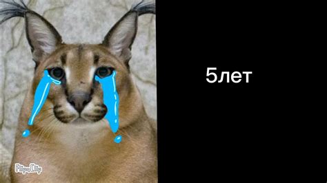 сколько тебе осталось жить - YouTube