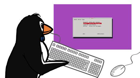 Grafische Terminal Menüs Mit Whiptail Der Linux Wikinger