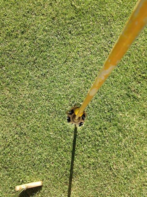 Close Up Of Grass Premium Photo